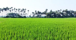 Agritech startup Vegrow raises $2.5 Mn from Matrix Partners & Ankur ...